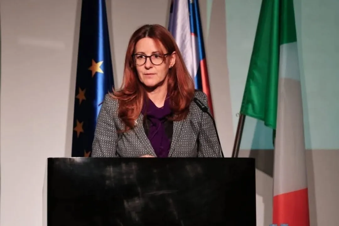 Notar na daljavo gre že tretjič v revizijo